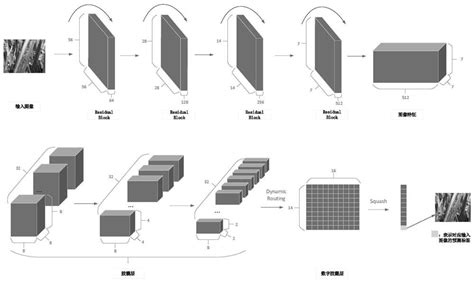 Rice Pest Identification Method Based On Improved Residual Network Eureka Patsnap