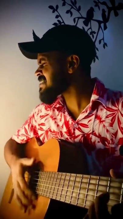 සිංදුව එකපාරක් අහල බලන්න එකෙ ලස්සන 😍🥰 නෙතු සිබින පුරහද ලස්සනයි රැයකට Caver Song Ayale 367