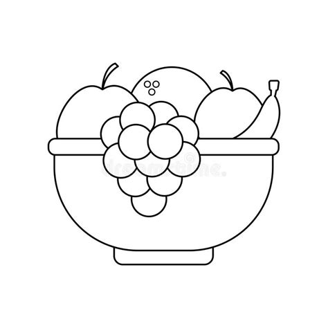 Line Drawing Assorted Fruit Stock Illustrations 110 Line Drawing
