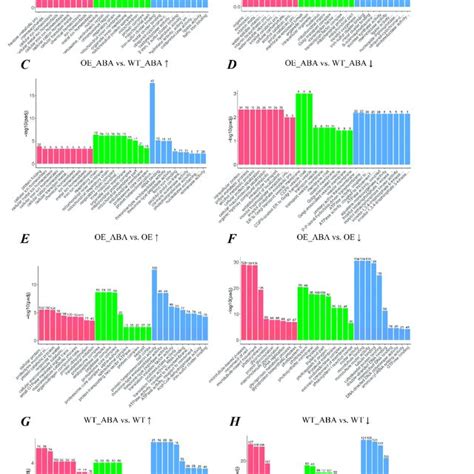 Go Enrichment Histogram Of Degs The Top 10 Significantly Enriched Go