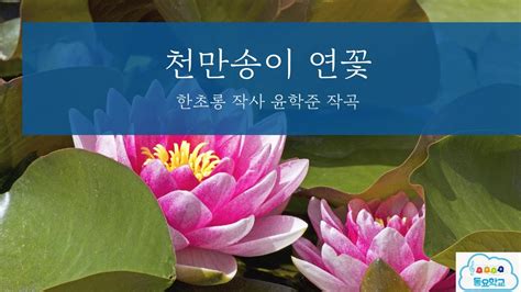 천만송이 연꽃 초롱초롱동요학교 동요챌린지 Youtube