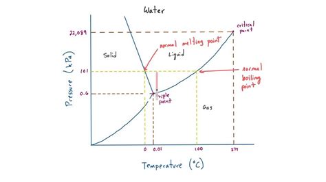Decoding The Secrets Of Phase Diagrams