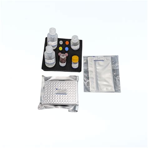 Dsrna Detection Kit Bioron Gmbh