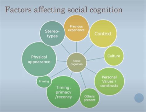 Biases In Forming Stereotypes Flashcards Quizlet