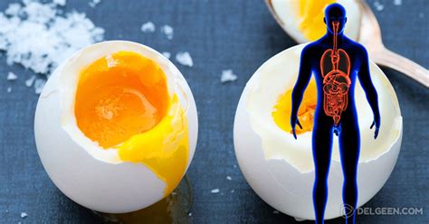 Би найзынхаа зөвлөснөөр 1 сарын турш өдөр бүр 3 ширхэг өндөг идсэн Үр дүнд нь миний биед ямар