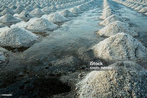사무 트 태국에서 바다 소금 농장입니다 유기농 바다 소금 해 수의 증발 및 결정 화 소금 산업의 원료 염화 나트륨 태양 증발 시스템 요오드 공급원 0명에 대한 스톡 사진 및