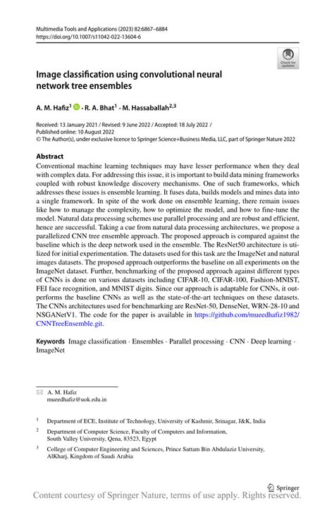 Image Classification Using Convolutional Neural Network Tree Ensembles