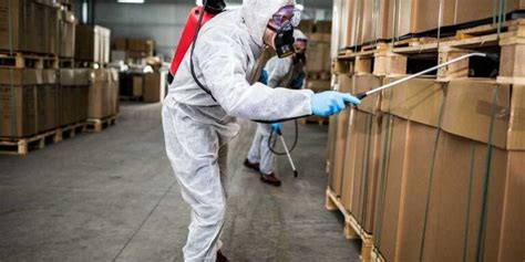 Warehouse Pest Control Services By Quick Pest Control In London