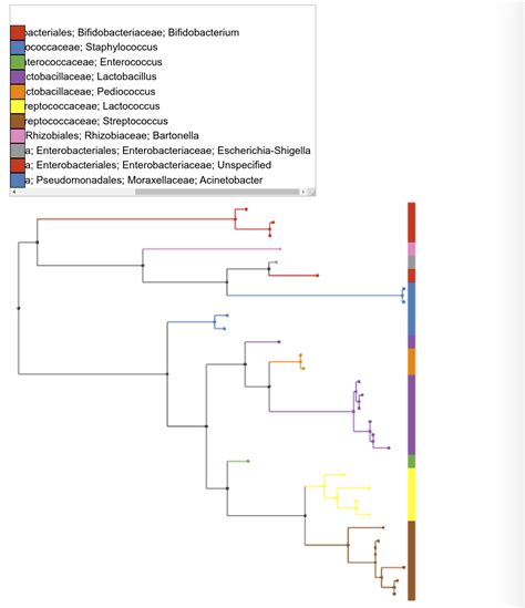 Visualizing Phylogenetic Trees General Discussion Qiime 2 Forum