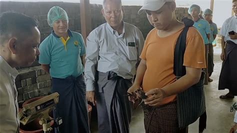 ကျောက်တန်းမြို့နယ် လူထုအခြေပြုဗဟိုဌာန၌ ဂဏန်းပျော့မွေးမြူရေး အသိပညာပေး Talk Show ကျင်းပ Youtube