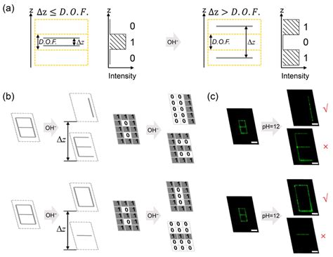 Model And Experimental Verification For The 3d Optical Data Encryption Download Scientific