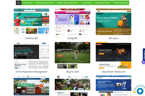 Bhavitra Technologies Web Design Company Review 2025