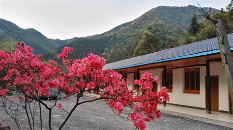浙江省衢州市常山县白石镇1000亩林地合作入股 聚土网