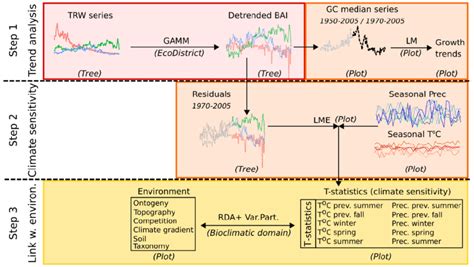 Figure S1 2 Workflow Diagram Of The Statistical Procedure The Download Scientific Diagram