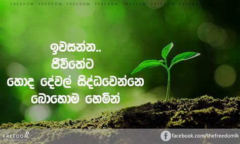 ධනාත්මක සිතුවිලි Positive Thinking
