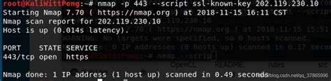 漏洞扫描之nmap扫描利用nmap进行漏洞扫描 Csdn博客