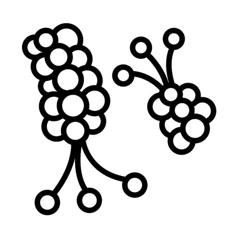 Virus And Bacteria Classification Vector Svg File 39 Svg Find