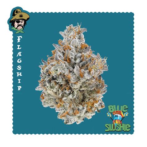 Blue Slushie Cannabis Strain Freddys Fuego