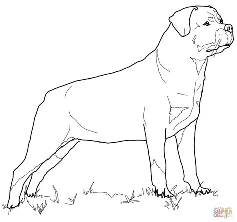 Ausmalbild Rottweiler Ausmalbilder Kostenlos Zum Ausdrucken