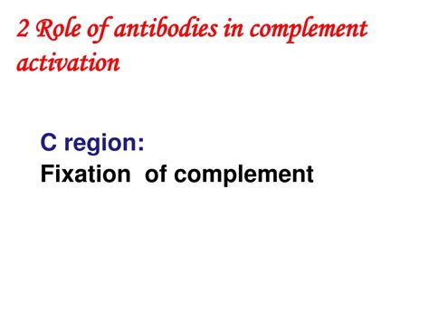 Ppt Comprehensive Guide To Antibodies Structure Function