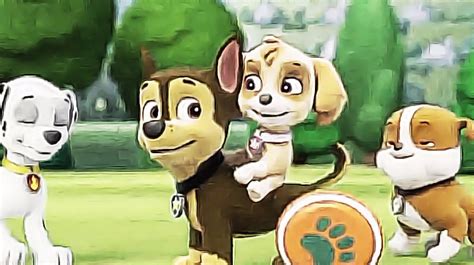 Fanarts Skye And Chase Paw Patrol Fan Art Fanpop