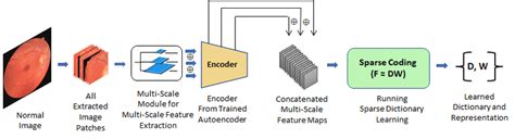MDFSC Training Pipeline Block Diagram First Image Patches Are