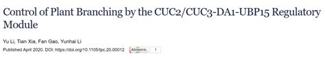 中科院遗传所李云海组发现种子和器官大小调控途径参与调节侧枝形成的新机制 学术资讯 科技工作者之家