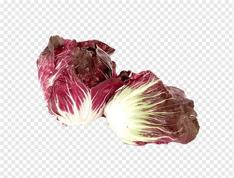 치커리 양배추 야채 양배추 파오 카이 양배추 잎 수채화 잎 잎 야채 음식 Png Pngwing