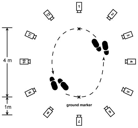 Sensors Free Full Text The Analytical Validity Of Stride Detection And Gait Parameters