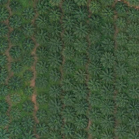 Ai Unit Roboflow Universe