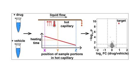 Zhaowei Meng On Linkedin One Pot Time Induced Proteome Integral Solubility Alteration Assay For