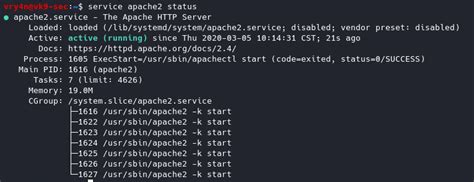 Securing Apache Vk9 Security