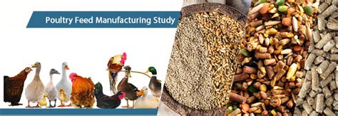 How To Boost Your Quality Poultry Feed Pellet Production