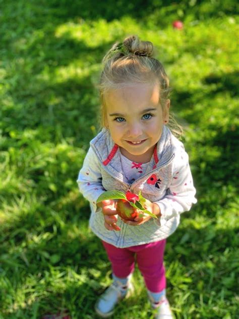 The Powerful Journey Of Miss Paizlee Rose