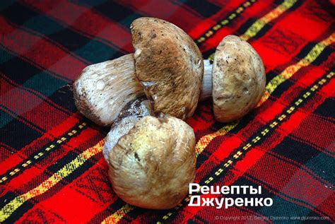 Паста с белыми грибами