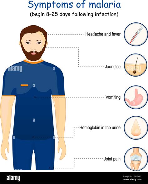 Captivating Vector Borne Diseases Malaria Photos