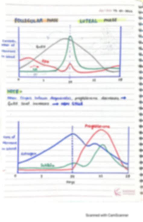 SOLUTION Female Reproductive Cycle Explained By Flowchart And Diagrams Studypool