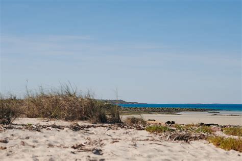 Environmental And Heritage Mapping For Perths Growing Transport Network — Winyama