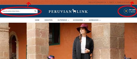 Trouble Moving Search And Minicart To Header Panel Magento Forums