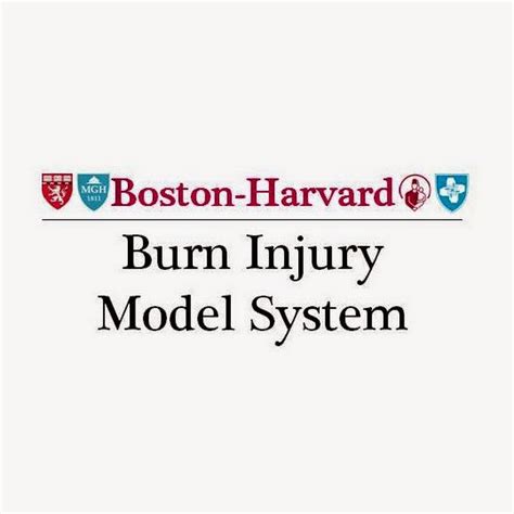 Lynne Friedlander Youtube