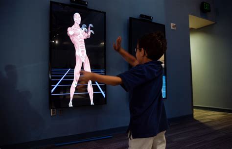 Body Worlds Decoded The Tech Interactive