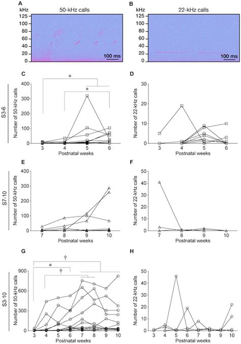 Ultrasonic Vocalizations Usvs During Stroking Stimuli Ab Examples Download Scientific