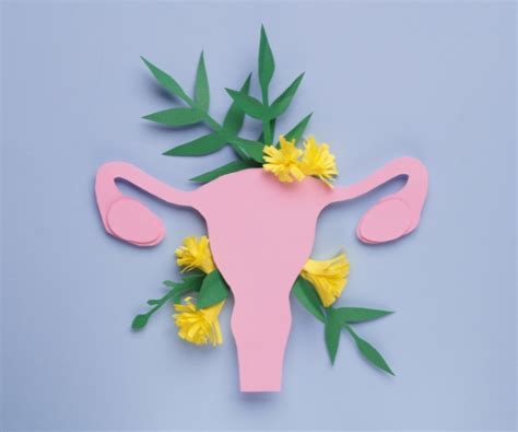 V Sao N N Tr Nh Quan H T Nh D C Sau Sinh