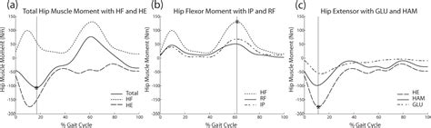 figure 1 1 from lower extremity coordination patterns and muscle