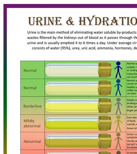 Urine And Hydration Analysis Chart And Bristol Stool Form Scale Chart Set