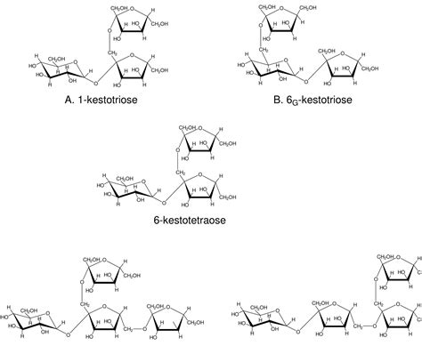 Structure Of Fructooligosaccharides Adapted From Sims