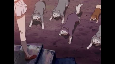 Anime Werewolf Girl Transformation