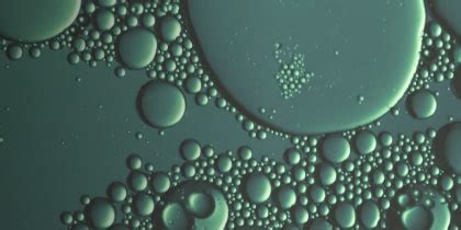 Understanding NGS Library Preparation And Conversion Celemics Inc