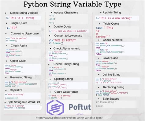 Python String Variable Type Poftut Rprogrammerhumor