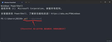 wsl2网络改桥接模式 wsl2 桥接网络 csdn博客